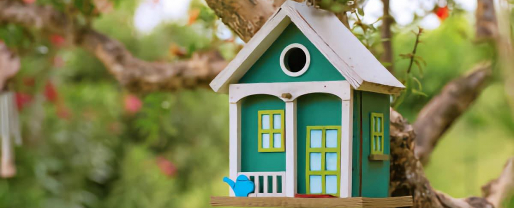 Mochi's Treehouse | Bothell WA | Goodviser