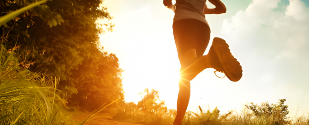 Magnolia Physical Therapy | Seattle WA | Goodviser