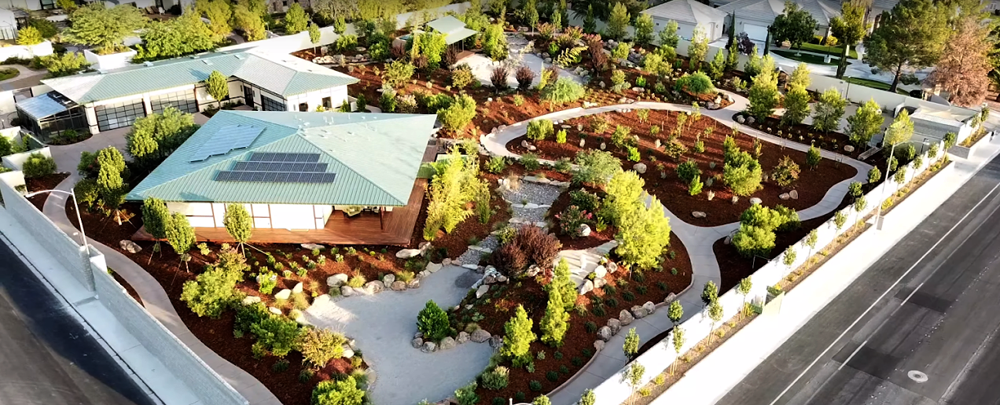 Landscaping and lawn services are not just about maintaining greenery ...