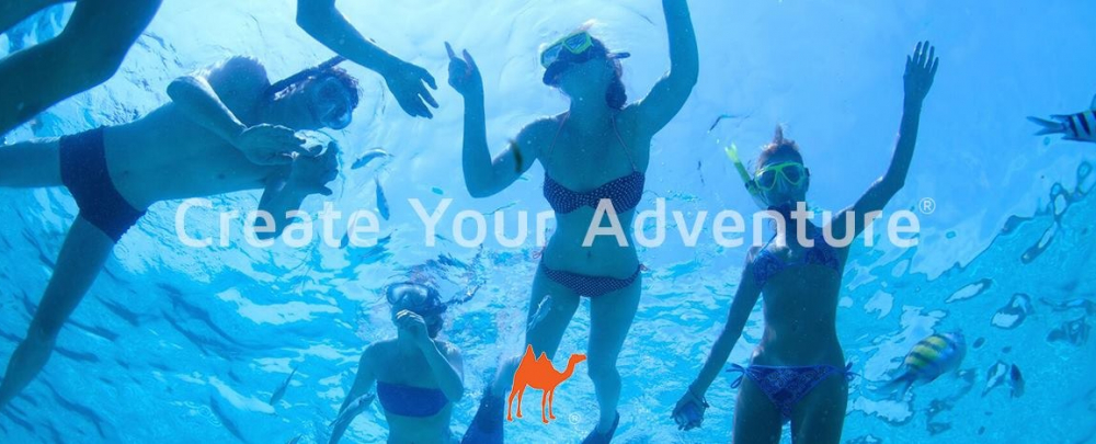 Project Expedition | New York NY | Goodviser