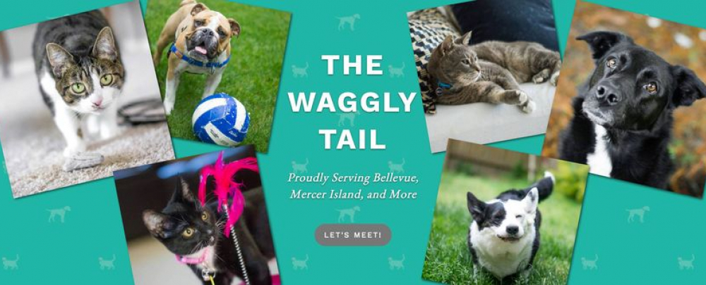 The Waggly Tail | Bellevue WA | Goodviser