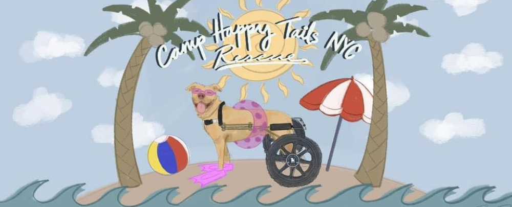 CAMP HAPPY TAILS NYC | New York NY | Goodviser
