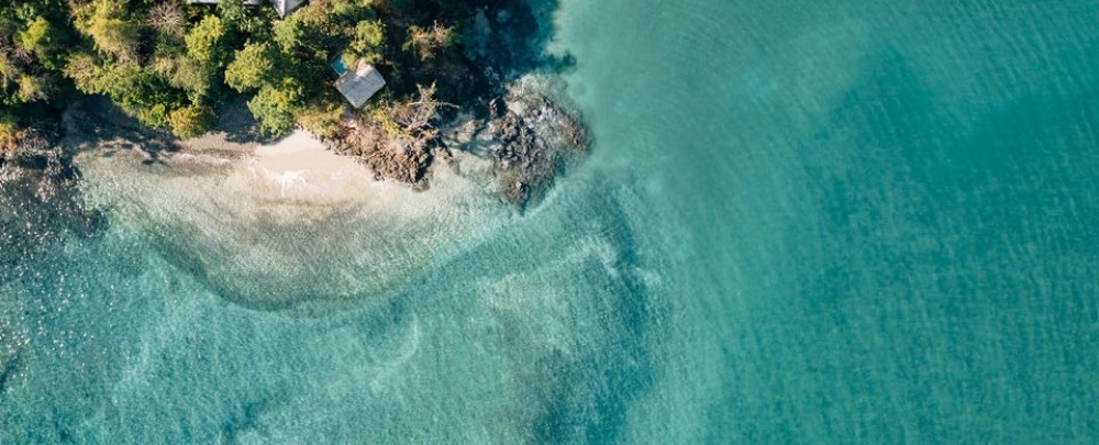 The Local Foreigner | New York NY | Goodviser