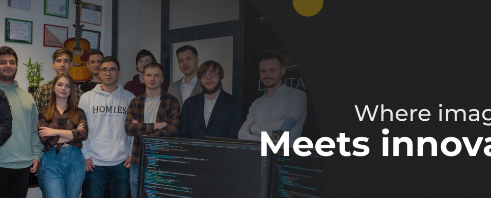 DIS SOFTWARE | New York NY | Goodviser