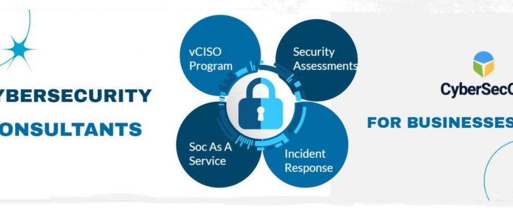 CyberSecOp | New York NY | Goodviser