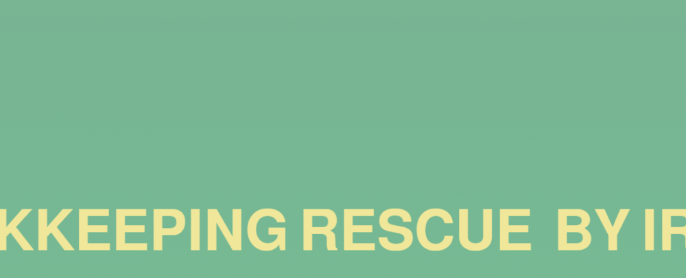 Bookkeeping Rescue by Irene | Brookfield IL | Goodviser