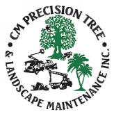 CM Precision Tree | San Diego CA | Goodviser