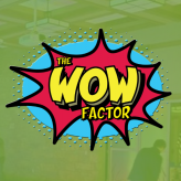 The Wow Factor | Northbrook IL | Goodviser