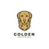 SF Golden Retrievers | San Francisco CA | Goodviser