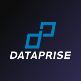 Dataprise | New York NY | Goodviser